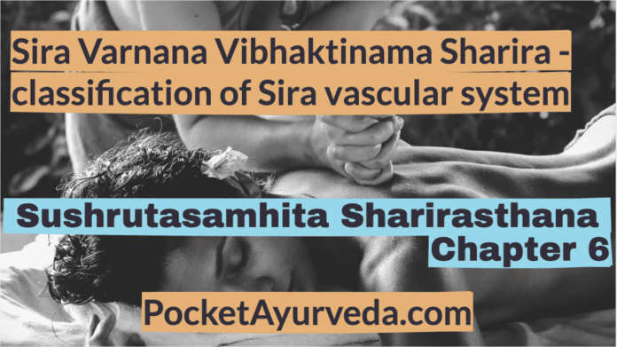 Sira Varnana Vibhaktinama Sharira - classification of Sira vascular ...