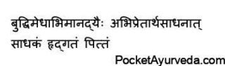 Doshabhediya – दोषभेदिय अध्याय – Dosha Types, Imbalance Symptoms ...